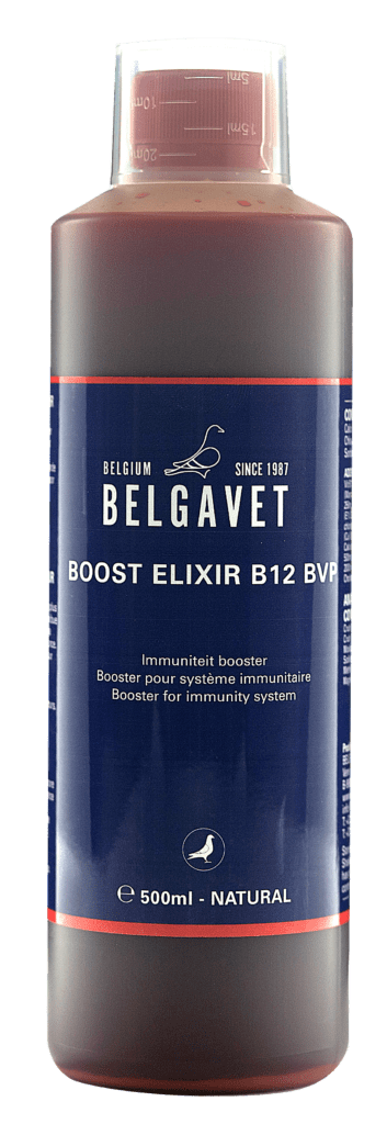 BELGAVET Boost Elixir B12 BVP 500 мл. витамини и минерали за гълъби - Зоомаг.бг